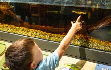 City of Stirling - Urban oasis: Exploring green spaces