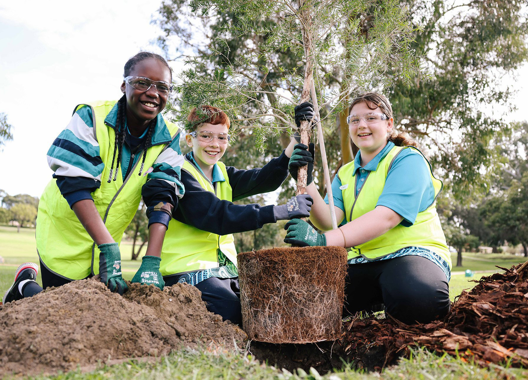 City of Stirling - Planting programs and tree maintenance
