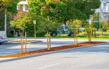 City of Stirling - Trees