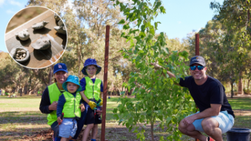 City of Stirling - Welcome to the City of Stirling | view latest updates